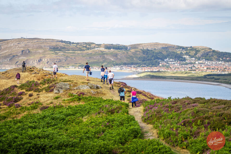 Dylan's Restaurant | A Look Back at Dylan's Three Peaks and Troughts…